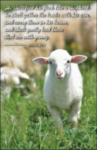 Weekly Church Bulletins - My Paper Stock | Bulletins and Stationery