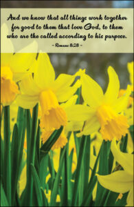 Weekly Church Bulletins - My Paper Stock | Bulletins and Stationery