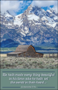 Weekly Church Bulletins - My Paper Stock | Bulletins and Stationery